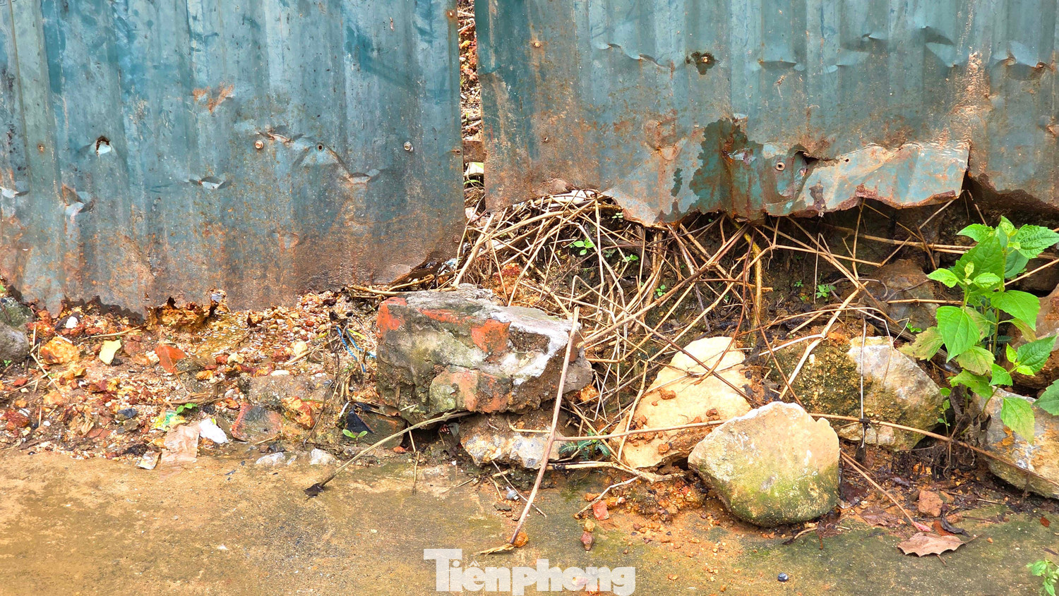 Bên trong dự án chung cư Quawaco 'tai tiếng' bị bỏ hoang hơn 13 năm ...