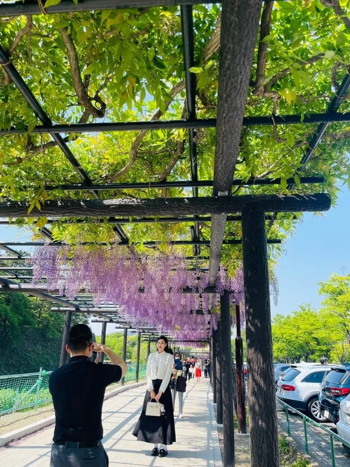 Vì sao bức ảnh giản dị từ trang phục đến bối cảnh của Đỗ Thị Hà lại gây chú ý? | Báo điện tử ...