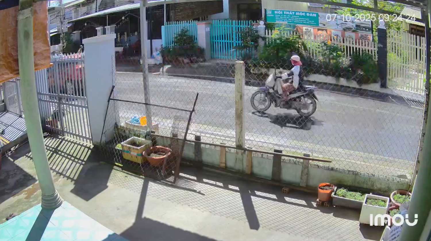 [Video] Bị giật 140 tờ vé số, bé trai 11 tuổi đạp xe đuổi theo rồi bị ngã | Báo điện tử Tiền Phong