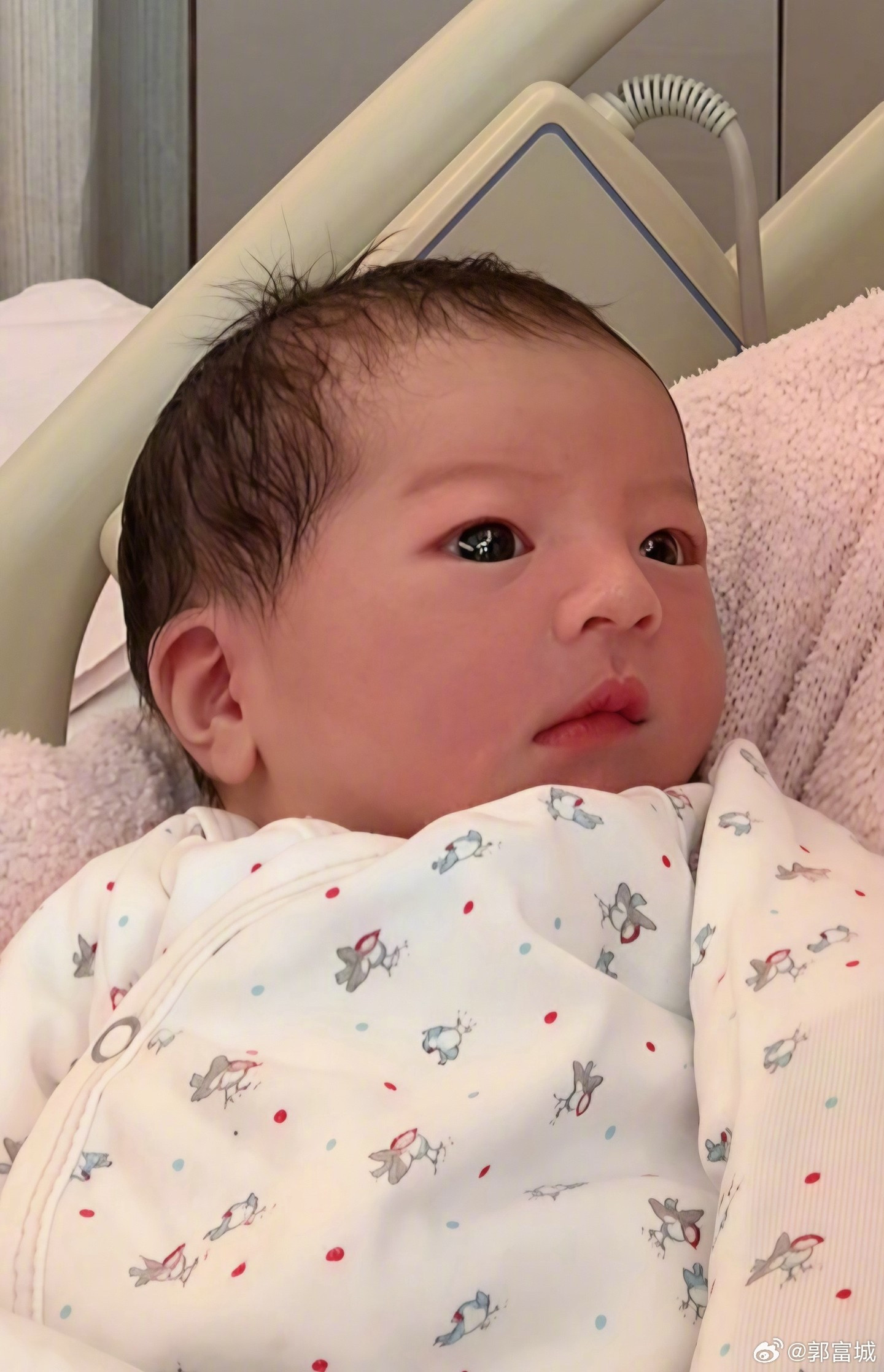 Quách Phú Thành được rửa oan | Báo điện tử Tiền Phong