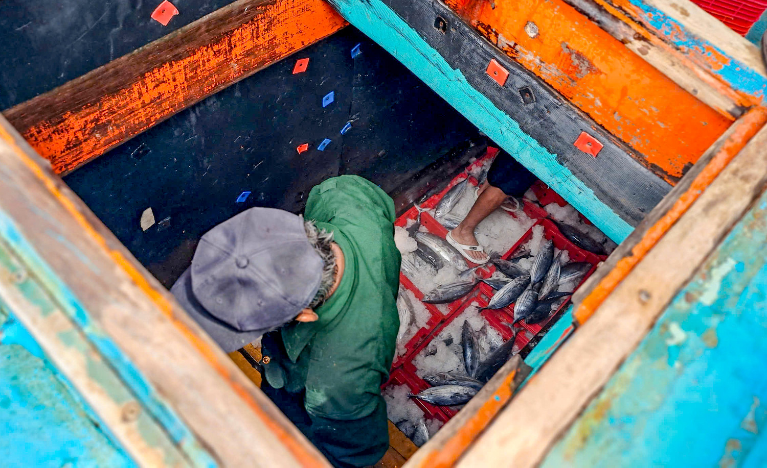 Xem ngư dân ‘khui hầm’ cá đánh bắt được từ Hoàng Sa, Trường Sa | Báo ...