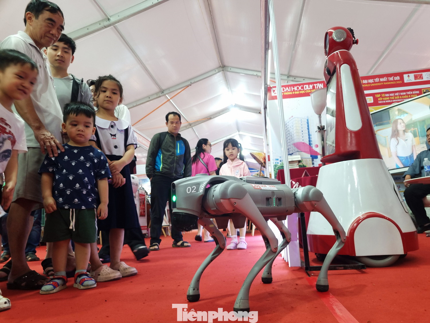 Chó robot 'vờn' chó nghiệp vụ gây sốt ở Đà Nẵng | Báo điện tử Tiền Phong