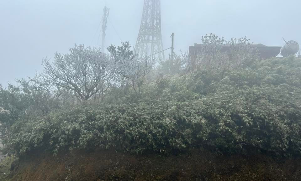 Xuất hiện băng giá trên đỉnh núi ở Cao Bằng | Báo điện tử Tiền Phong