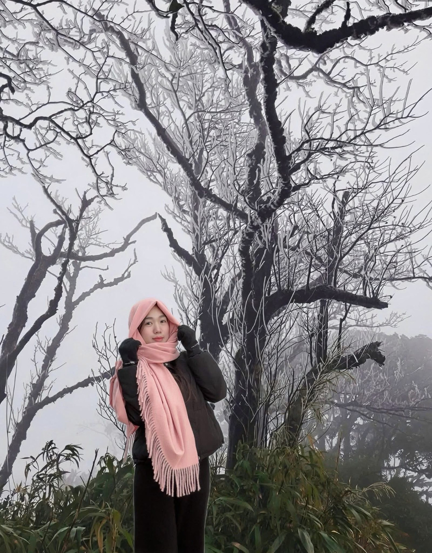 Xuất hiện băng giá trên đỉnh núi ở Cao Bằng | Báo điện tử Tiền Phong