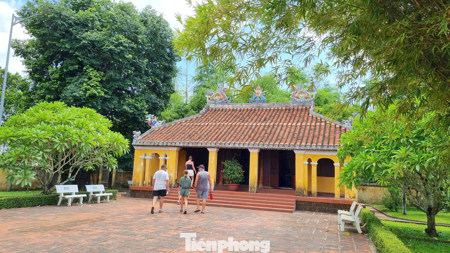 Cây thị trăm tuổi tại đình làng cổ Đà Nẵng gây thương nhớ | Báo điện tử ...