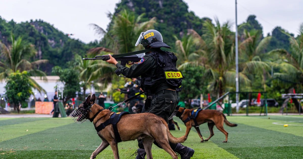 Công an Quảng Ninh diễn tập đội hình tác chiến, bảo vệ Đại hội Đảng | Báo điện tử Tiền Phong