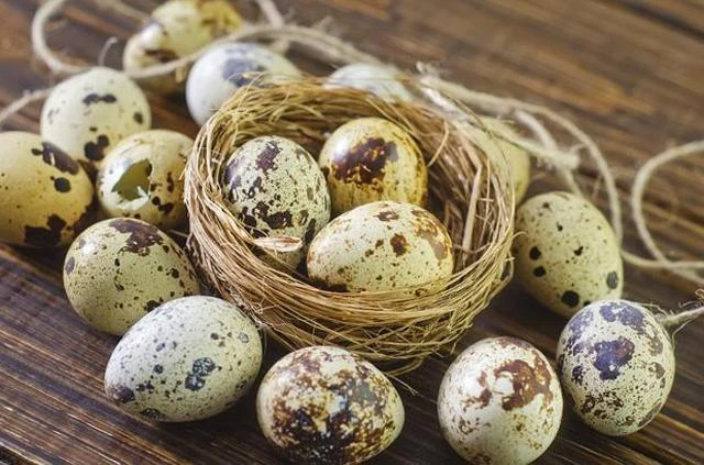 Trứng cút 'tốt không ngờ' cho sức khỏe nhưng 'đại kỵ' với những người sau