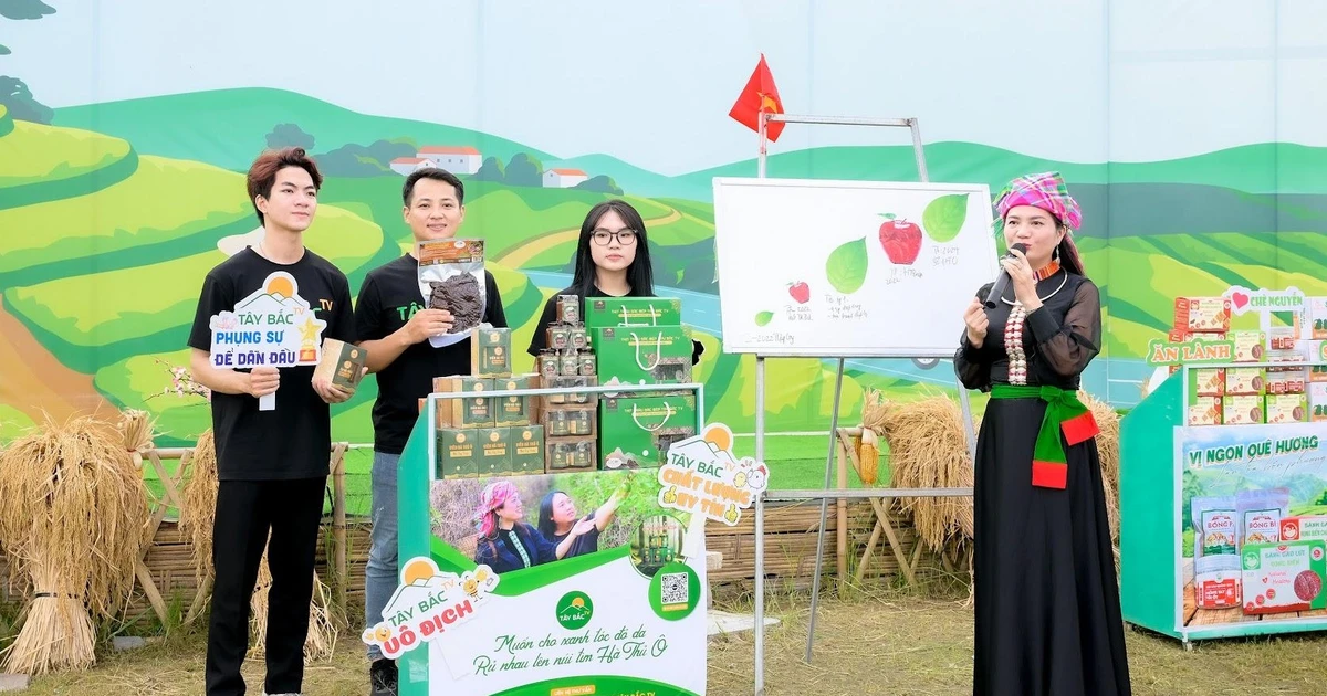 Kha Hạnh: Từ cô gái vùng cao đến “Người giữ lửa” thảo dược Tây Bắc trên ...