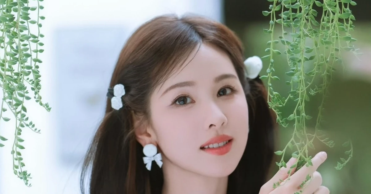 Nhiều fan của Trần Đô Linh giận dữ đòi tẩy chay phim mới, có biến gì ...