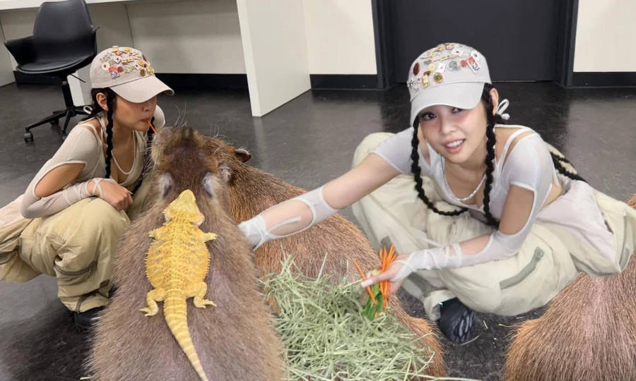 Jennie BLACKPINK tiết lộ gu hẹn hò khiến fan muốn hóa thành bé capybara ...