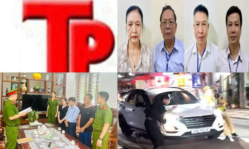 Bản tin Hình sự: Bắt nữ đối tượng liên quan vụ lừa đảo tài sản trị giá ...
