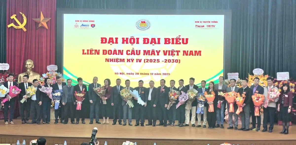 Cầu mây Việt Nam 'tự tin phát triển, khẳng định vị thế' | Báo điện tử ...