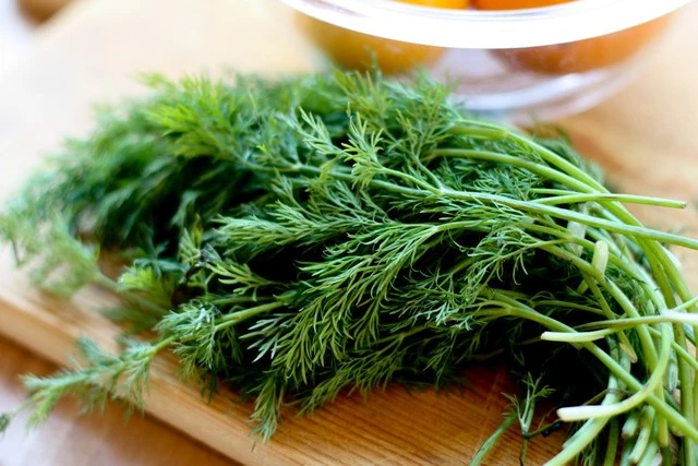8 lợi ích sức khỏe khi ăn rau thì là