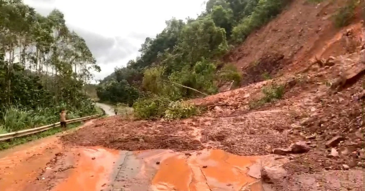 Kiểm tra, đánh giá cầu trong vùng ảnh hưởng của bão số 1 | Báo điện tử ...
