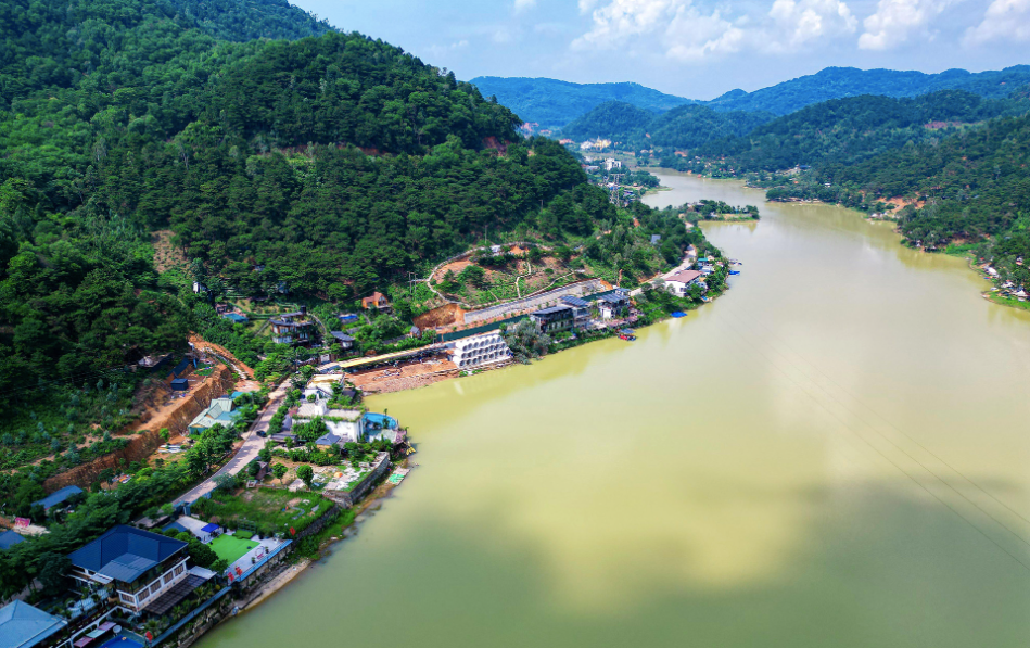 Nhóm cựu cán bộ xác nhận cho nhiều hồ sơ chuyển nhượng đất rừng phòng ...