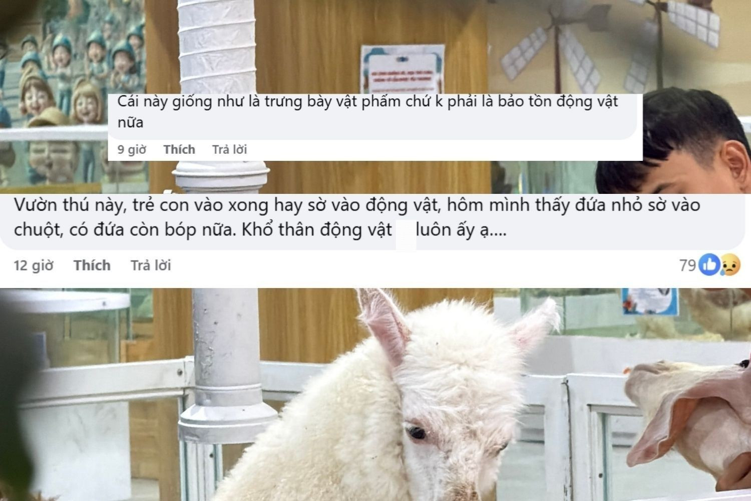 Netizen nói gì sau bài đăng cảnh báo về vườn thú mini? | Báo điện tử ...