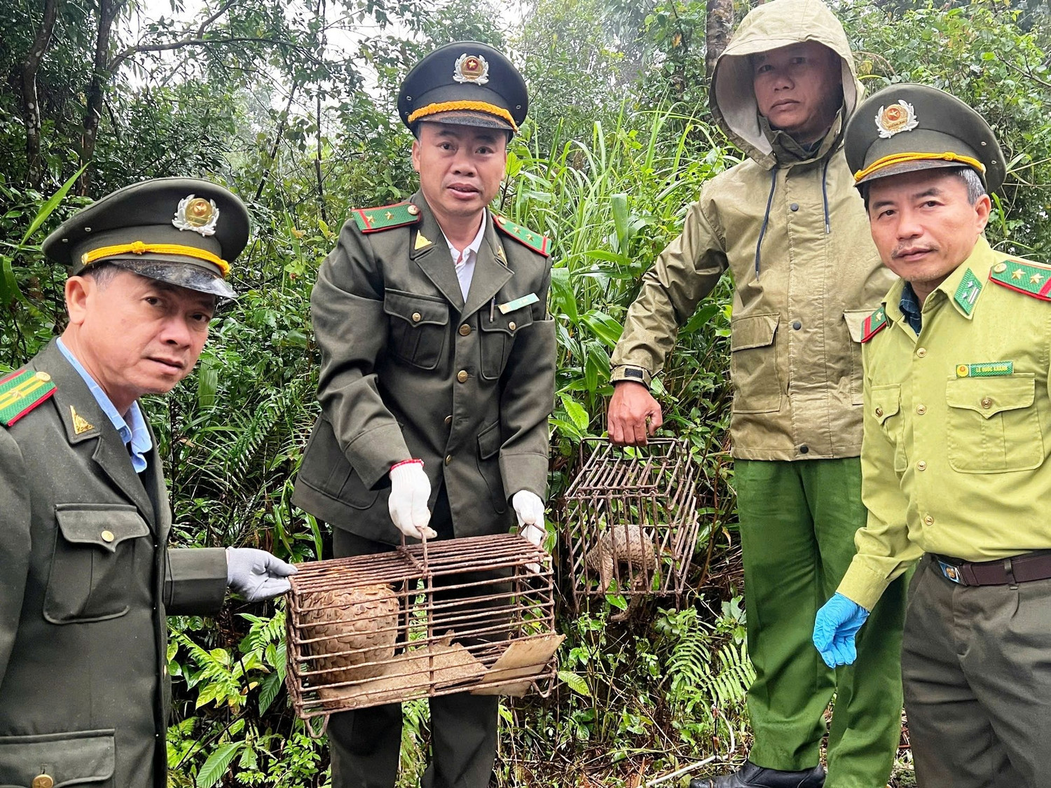 Hai mẹ con động vật quý hiếm được phát hiện đi lạc vào vườn dân tại Huế ...